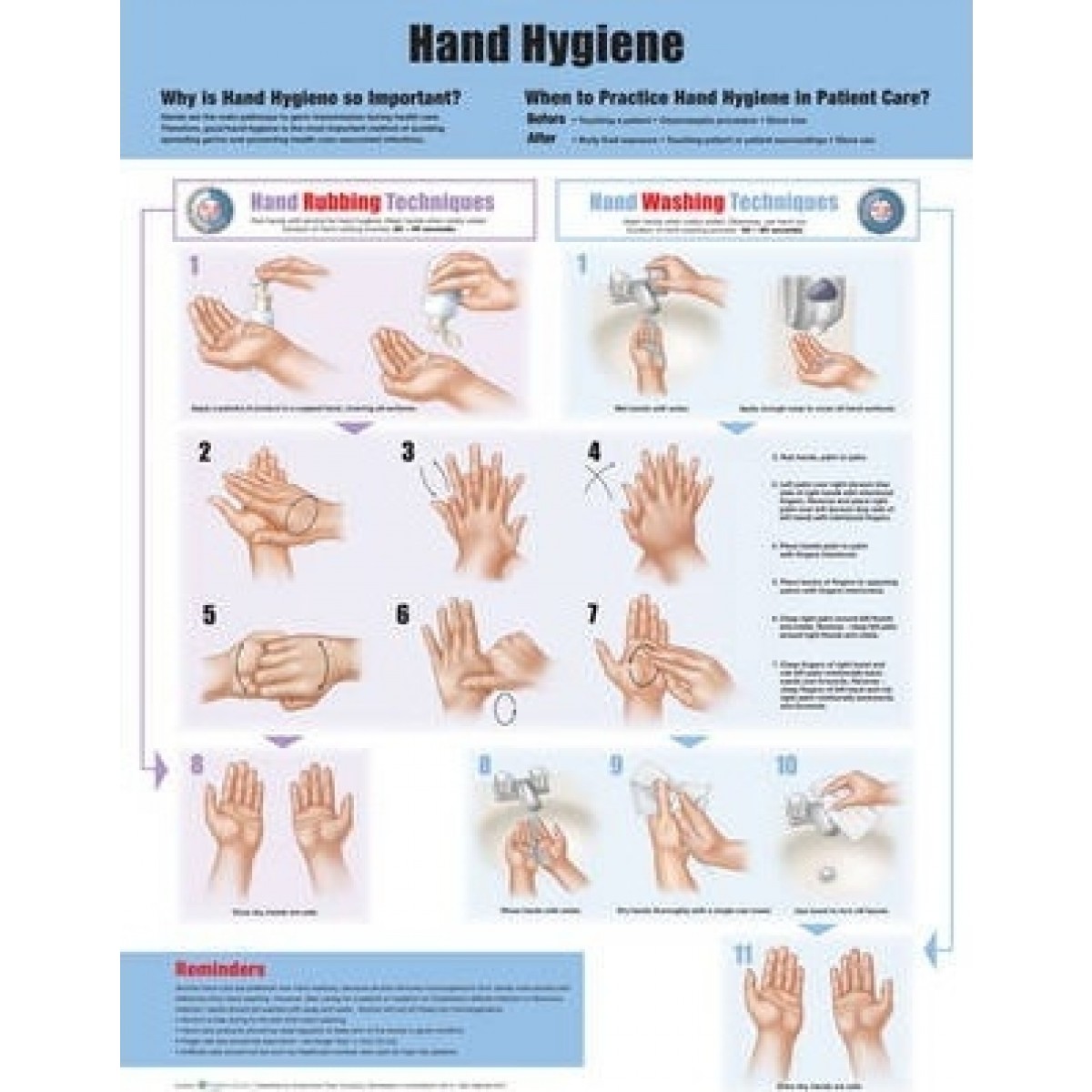 Anatomical Chart Company Hand Hygiene, None, First Edition Laminated ...