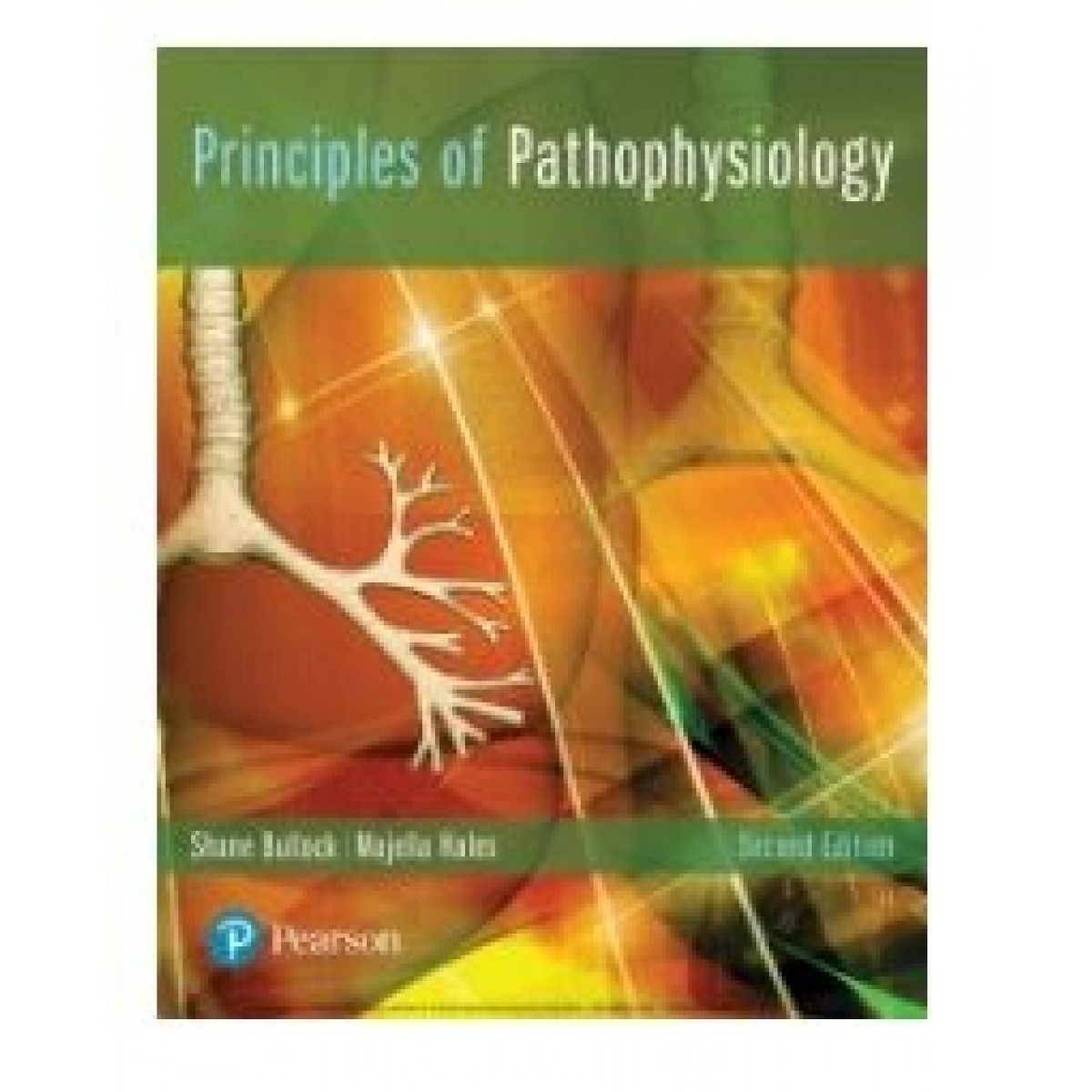 Principles of Pathophysiology 2E - eBook - School Locker