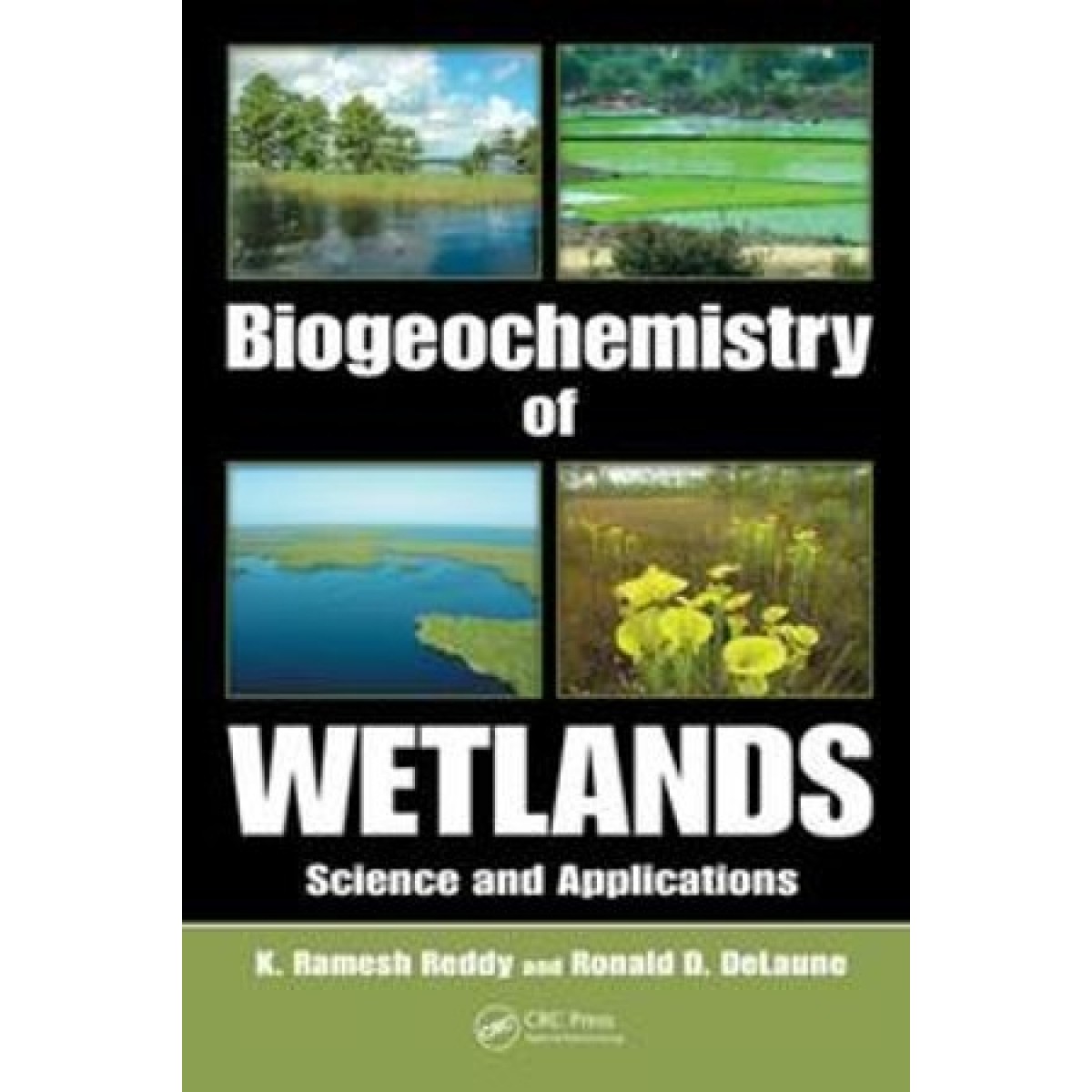 Biogeochemistry of Wetlands: Science and Applications - EBOOK - School ...