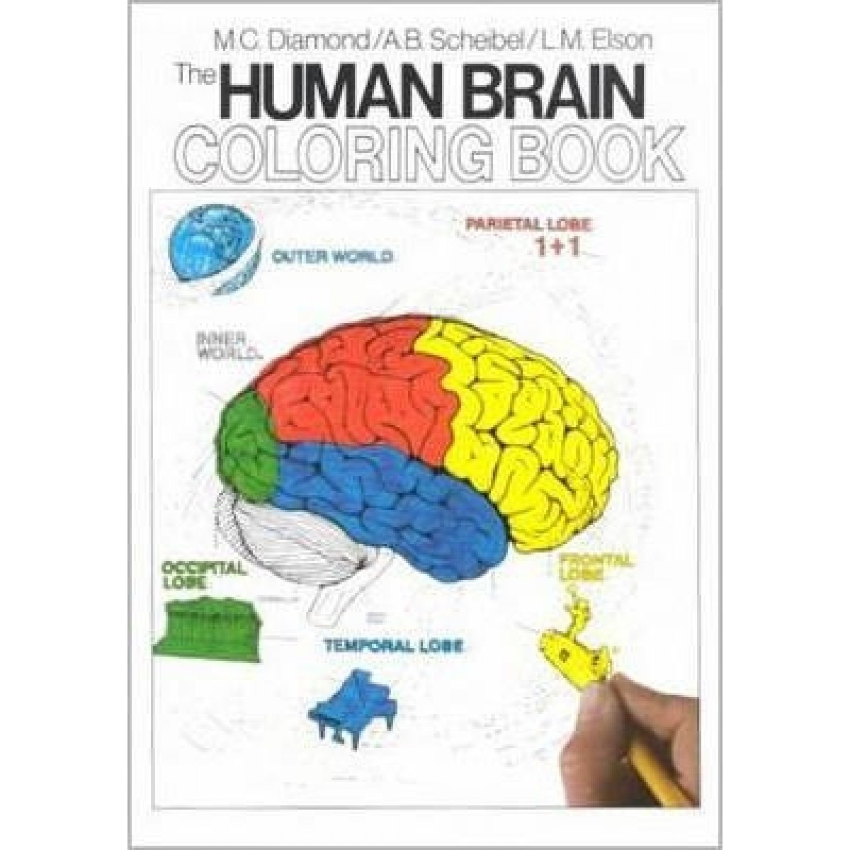 The Human Brain Coloring Book - School Locker