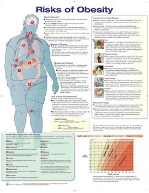 Anatomical Chart Company Risks of Obesity - School Locker
