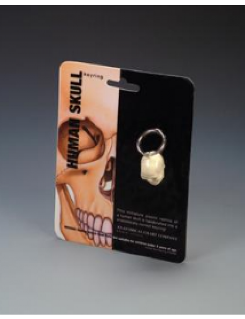Anatomical Chart Company Skull Key Ring - School Locker