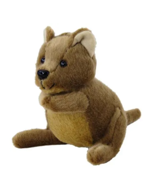 QUOKKA Plushie (16cm) - School Locker