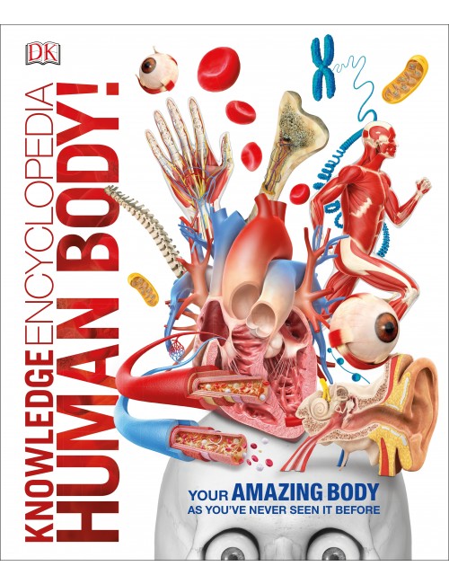 Dorling Kindersley Knowledge Encyclopedia Human Body! - School Locker