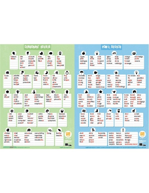 Firefly Education Sound Waves Spelling Extended Student Chart - School ...