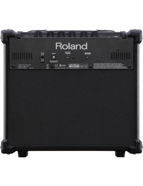Roland Guitar Amplifier - School Locker