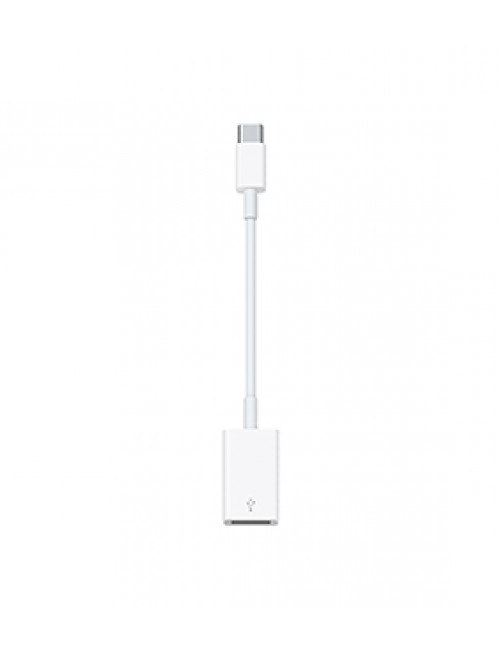USB-C to USB Adapter - School Locker