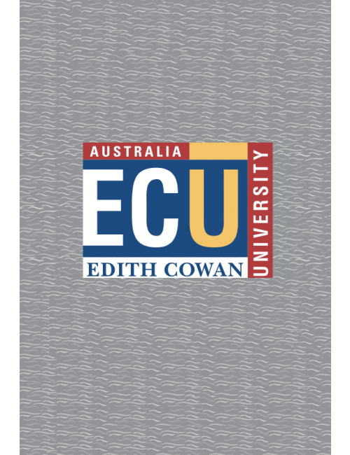 ECU New Balance Ladies Grey Pullover Hoodie Crest - School Locker