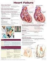 Anatomical Chart Company Heart Failure - School Locker